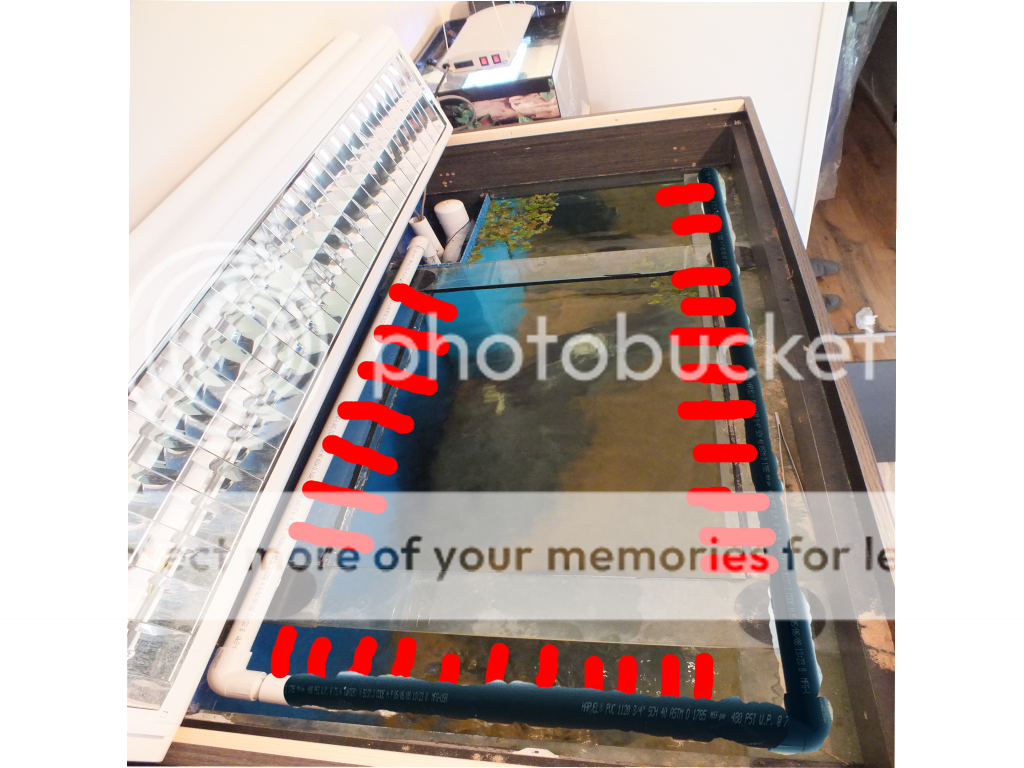 Diy Spray Bar at John Ricks blog